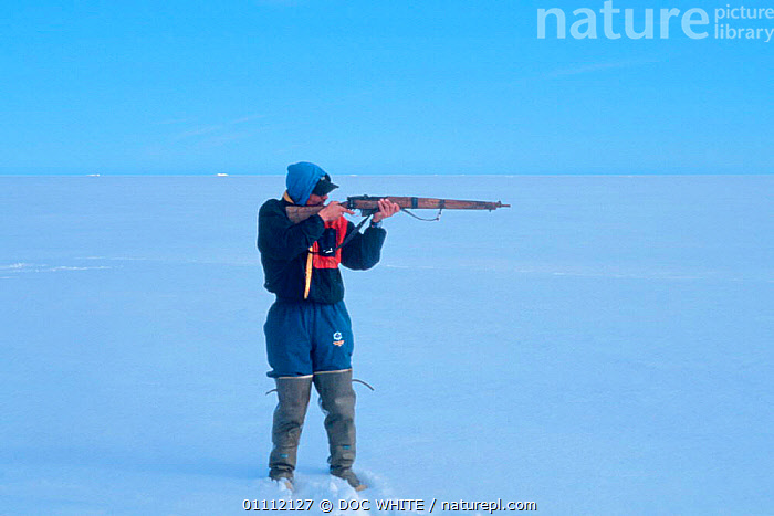 Stock photo of Inuit hunter take aim with gun, Canadian Arctic ...