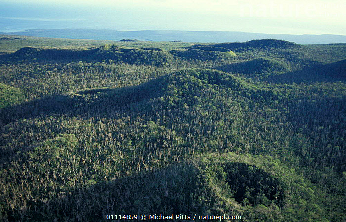 Stock photo of Aerial view of extinct volcano craters covered with ...