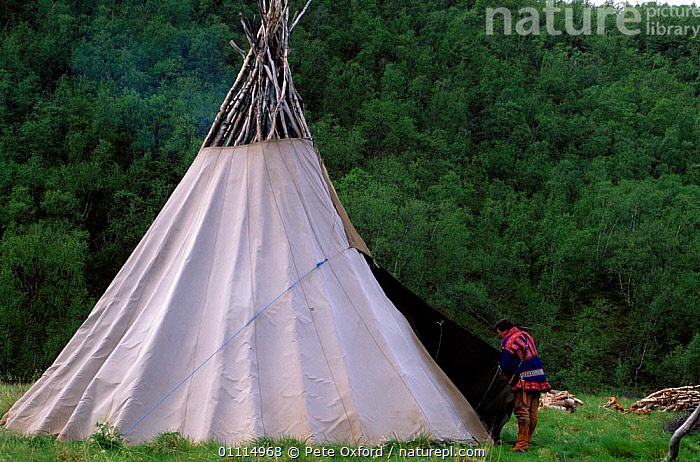Stock photo of Sami building lavvu tent, Alta river, Samiland/Lapland ...