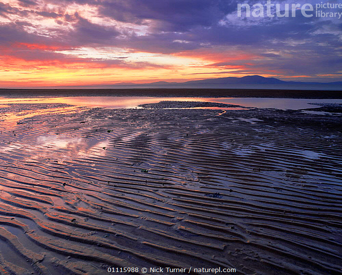 Stock photo of Mudflats at sunset during low tide, Solway Firth ...