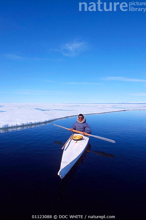 Stock photo of Inuit hunter in kayak Canadian arctic Canada. Available ...