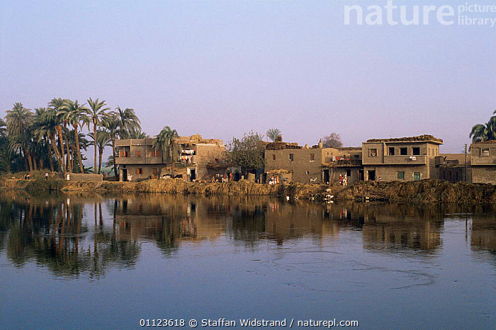 Stock photo of Village houses on river front, Nile river, Luxor, Egypt ...