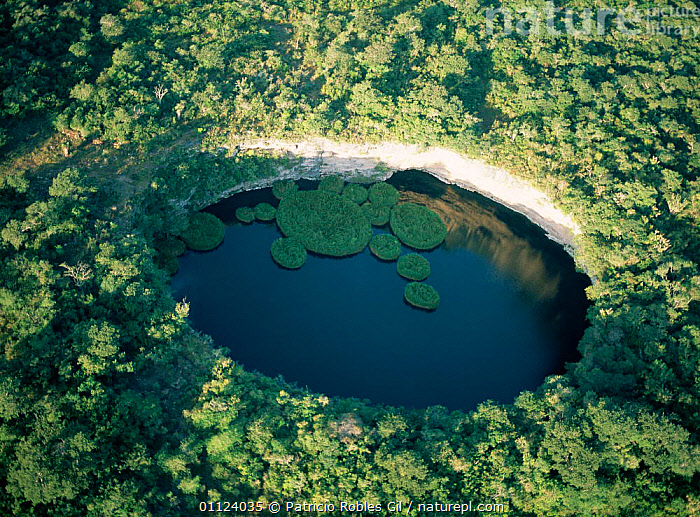 Stock photo of Aerial view of Aldama sink hole, Tamaulipas, Mexico ...