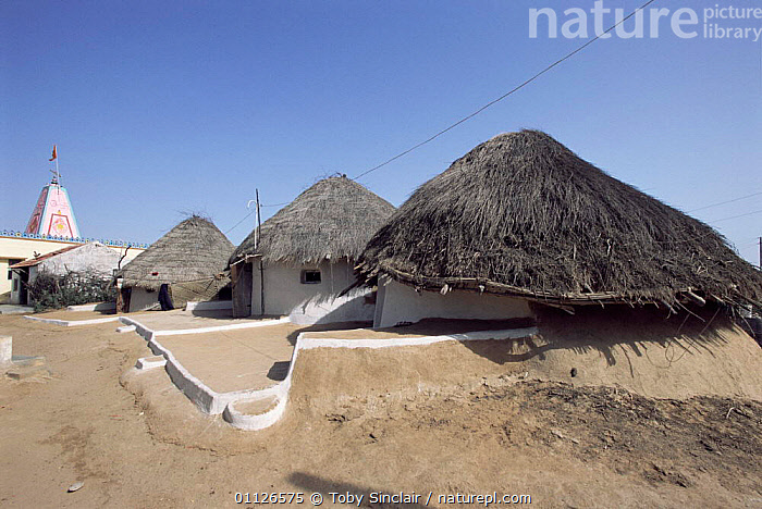 Stock photo of Thatched village houses, Kutch, Gujarat, India ...
