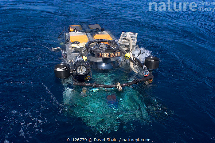 Stock photo of Launch of the deep sea submersible Johnson Sealink II ...