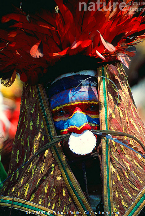 Stock photo of Warrior at the Mount Hagen Show, Wahgi valley, Papua New ...