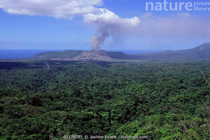 Stock photo of Mount Yasur volcano erupting in distance, Tanna, Vanuatu ...