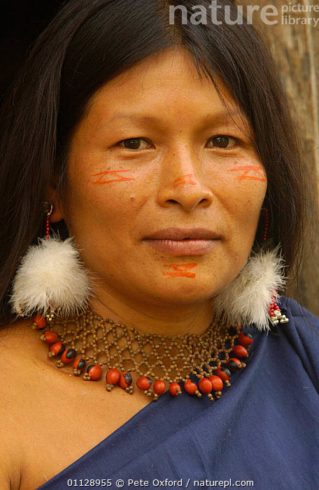 Stock photo of Shuar Indian woman portrait, Ecuador. Available for sale ...