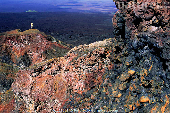 Stock photo of Crater wall of active Chico volcano, Isabella Is ...