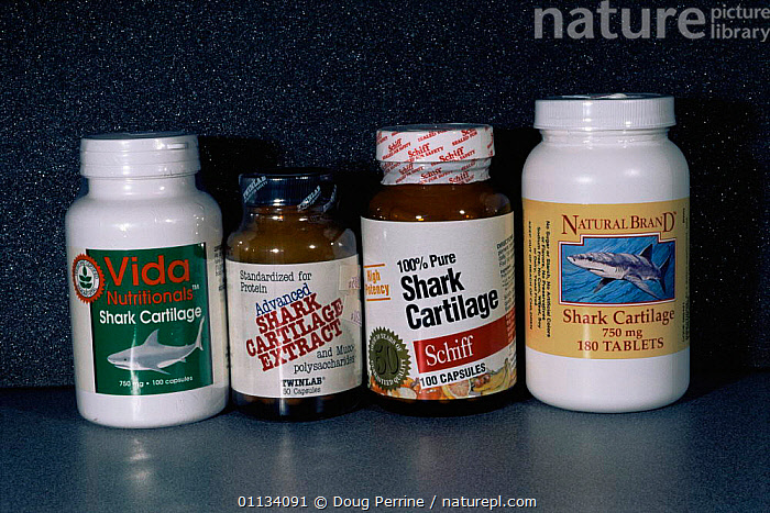 Stock photo of Shark cartilage tablets for medicinal use.. Available ...