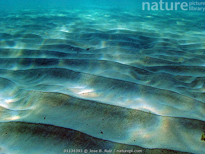 Stock photo of Seabed sand ripples and dabbled light underwater ...