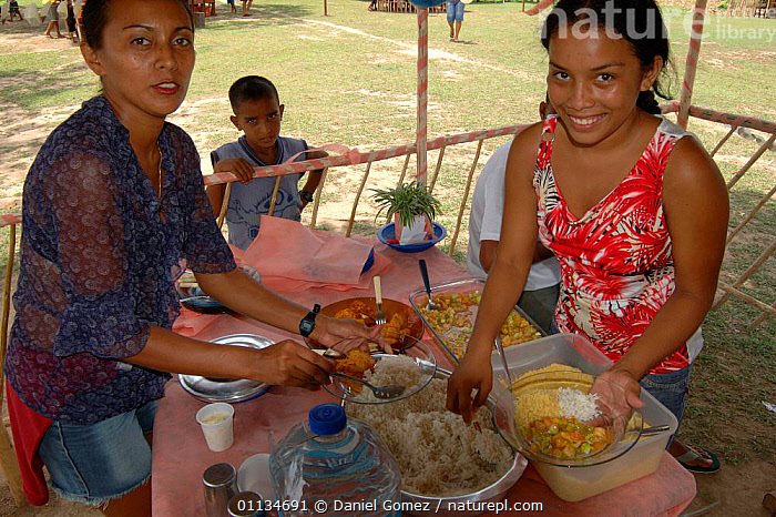 Stock photo of Local people enjoying Pirarucu {Arapaima gigas} meat ...