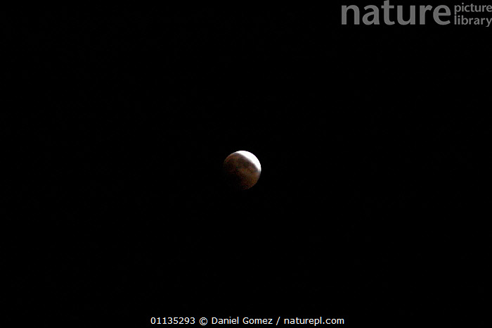 Stock photo of Lunar eclipse. Brazil. October 2004.. Available for sale ...