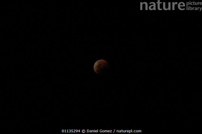 Stock photo of Lunar eclipse. Brazil. October 2004.. Available for sale ...