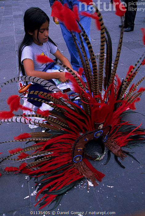 Stock photo of Preparing Aztec feather head-dresses for Independence ...