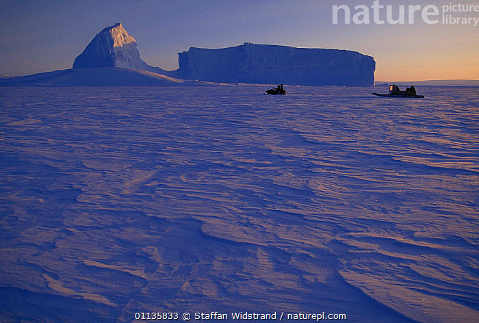 Stock photo of Inuit family return from collecting iceberg ice for ...