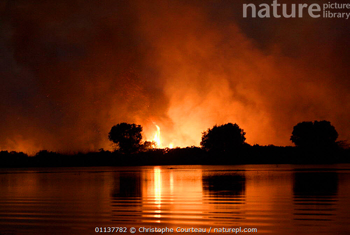Stock photo of Anaerobic Combustion - Natural bush fire caused by ...