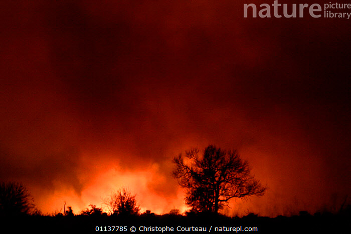 Stock photo of Anaerobic Combustion - Natural bush fire caused by ...
