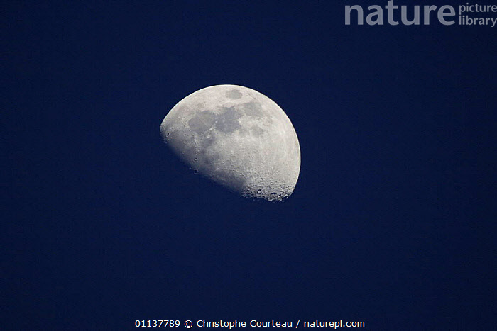Stock photo of The Moon one week before full moon, Brittany, France ...