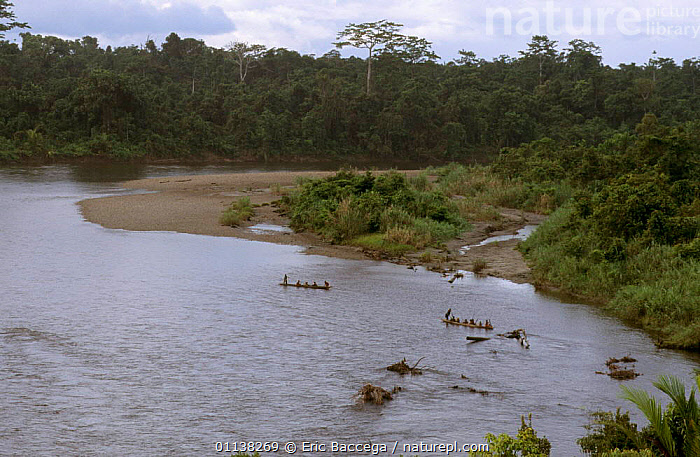 Stock photo of Korowai men descending the Dairam Kabur river in a canoe ...
