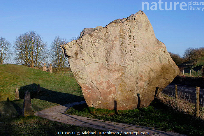 Stock photo of The 'Swindon Stone', largest of the stones at Avebury ...
