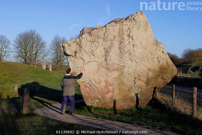 Stock photo of The 'Swindon Stone', largest stone at Avebury Stone ...