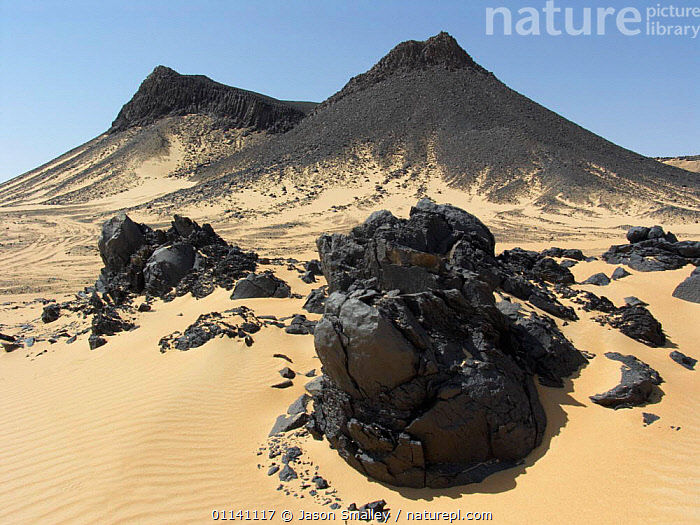 Stock photo of Shiny black volcanic rock strewn over the sand in the ...