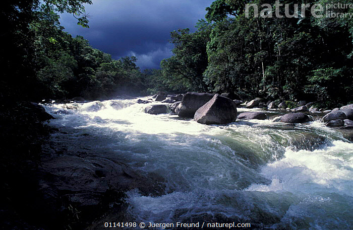 Stock photo of Mossman Gorge, river in flood after cyclone, Queensland ...