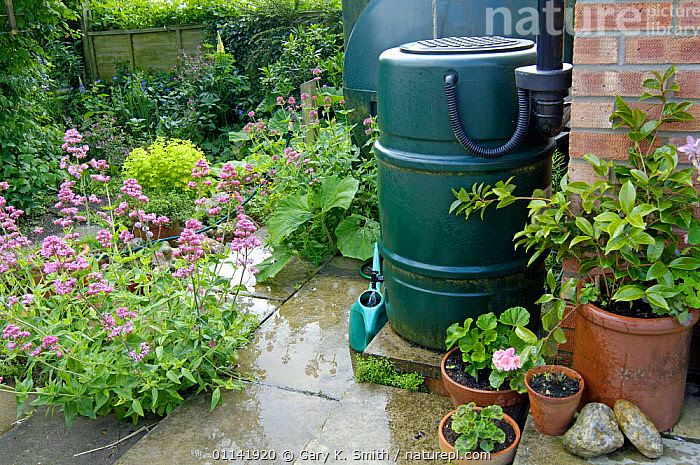 Stock photo of Garden water-butt with rain saving device, UK ...