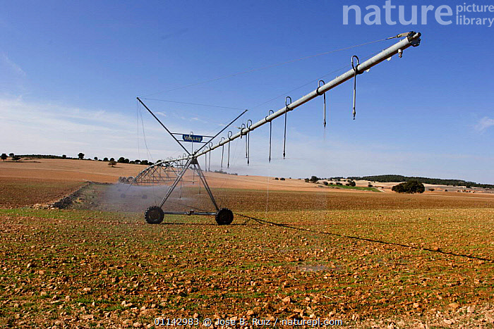 Stock photo of Irrigation sprinkler on a cereal field, Spain ...