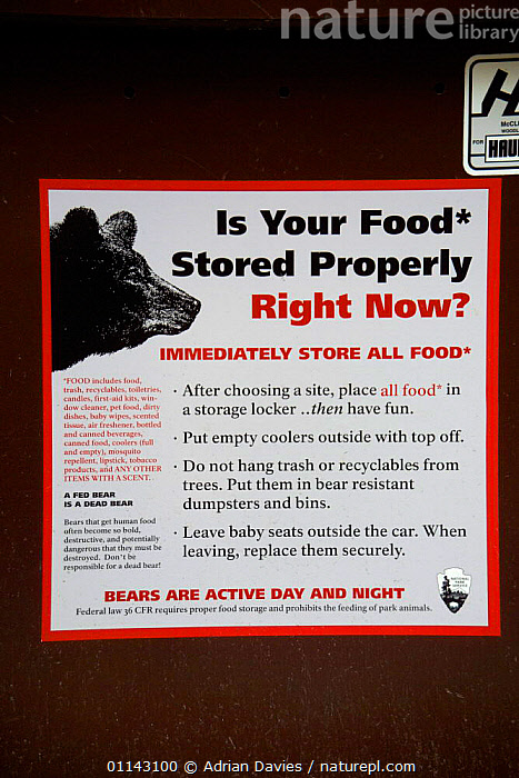 Stock photo of Bear information sign on storage box for campsite food ...