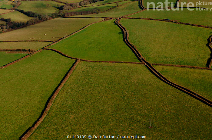 Stock photo of Aerial view of patchwork of fields and hedges, and ...