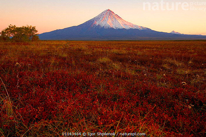 Stock photo of Kronotsky Volcano at sunset, Kronotsky Zapovednik ...