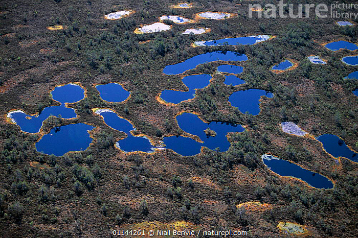 Stock photo of Aerial view of bog pools in pristine lowland raised ...