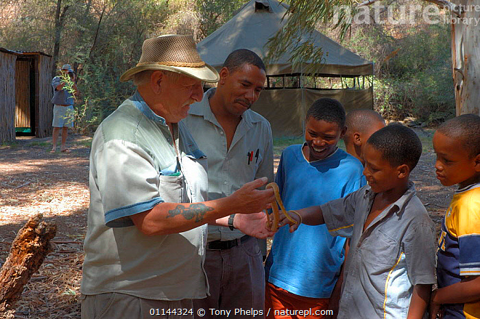 Stock photo of Tony Phelps shows snake to school group, South Africa ...