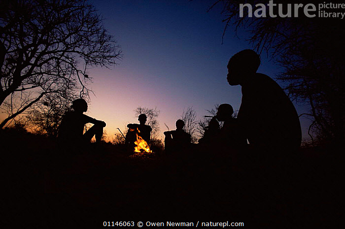 Stock photo of Jo / Hoan bushmen sitting round fire at sunset ...