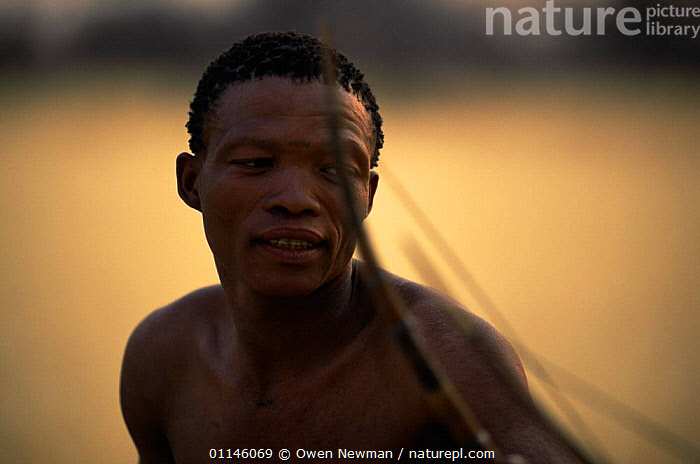 Stock photo of Jo / Hoan bushman with bow and arrow, Bushmanland ...