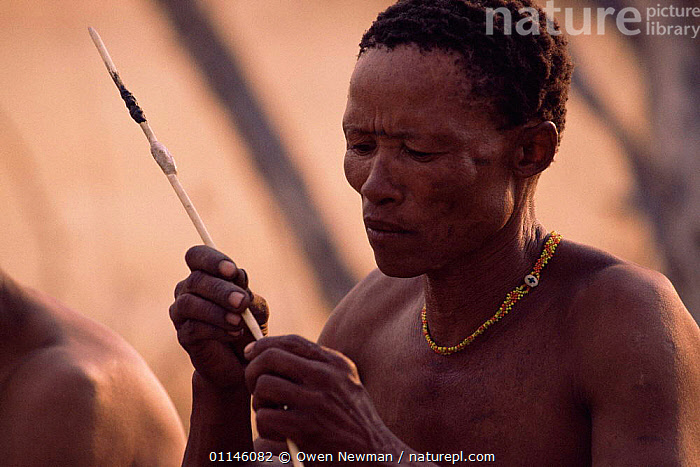 Stock photo of Jo / Hoan bushman with traditional arrow, Bushmanland ...