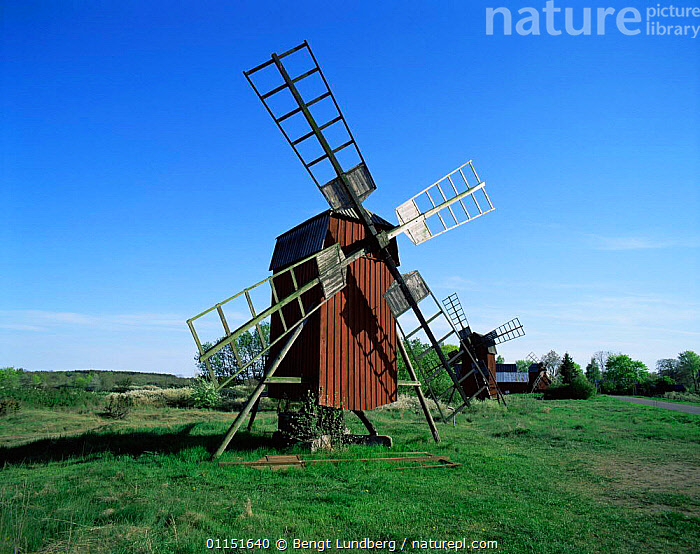 Stock photo of Traditional small scale windmills in Oland, Lerkaka ...