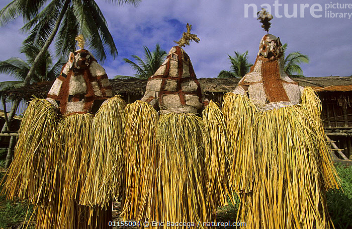 Stock photo of Asmat People dressed up during Mask celebration, Western ...