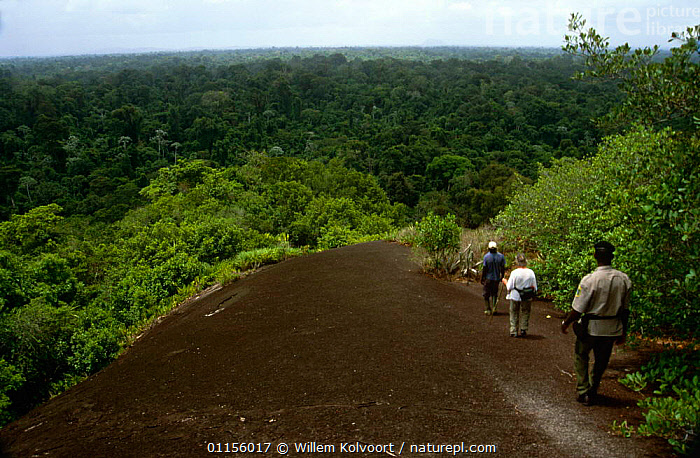 Stock photo of Hikers walking down the Voltzberg / Voltz mountain ...