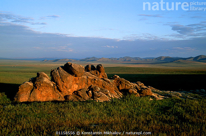 Stock photo of Gobi Desert, steppe zone, Mongolia. Available for sale ...