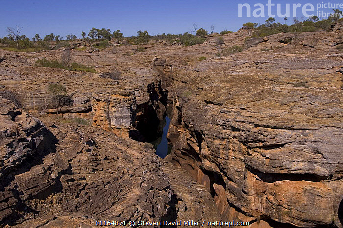 Stock photo of Cobbold Gorge, Robin Hood Station, Queensland, Australia ...