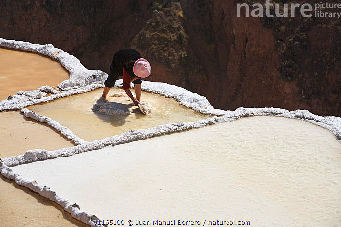 Stock photo of Indian woman working on salt pool, Maras, Peru 2006 ...