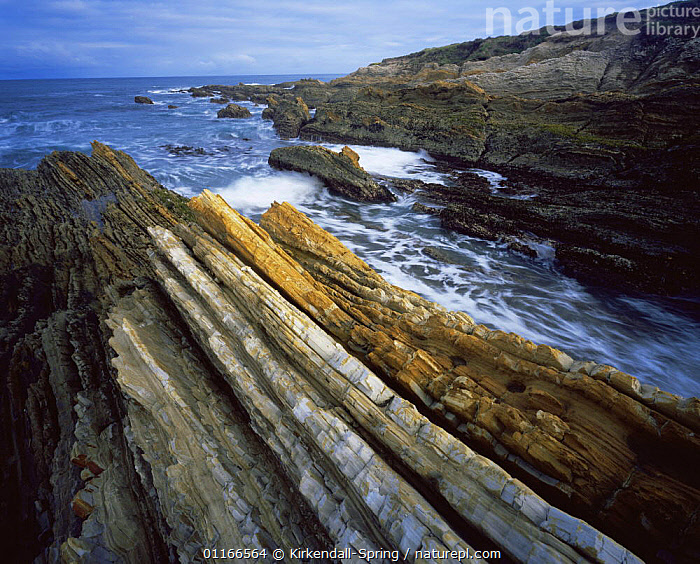 Stock photo of Layered rock at Quarry Cove, Montana de Oro State Park ...