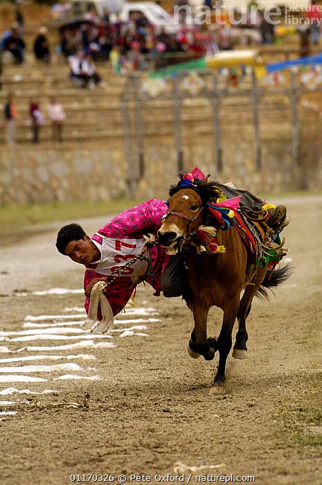 Stock photo of Horse and rider competing in Grabbing scarves event at ...