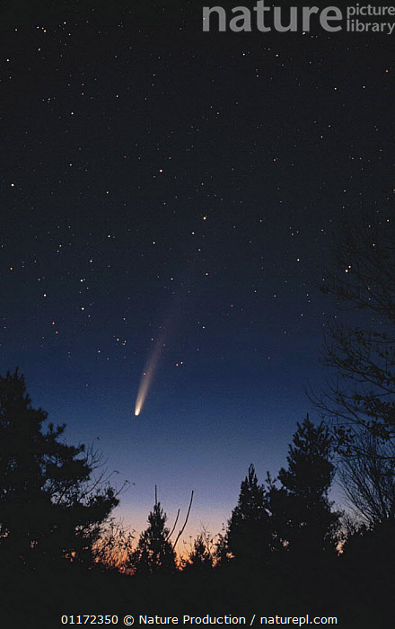 Stock photo of Comet Bennett, 1970, Fukushima, Japan. Available for ...