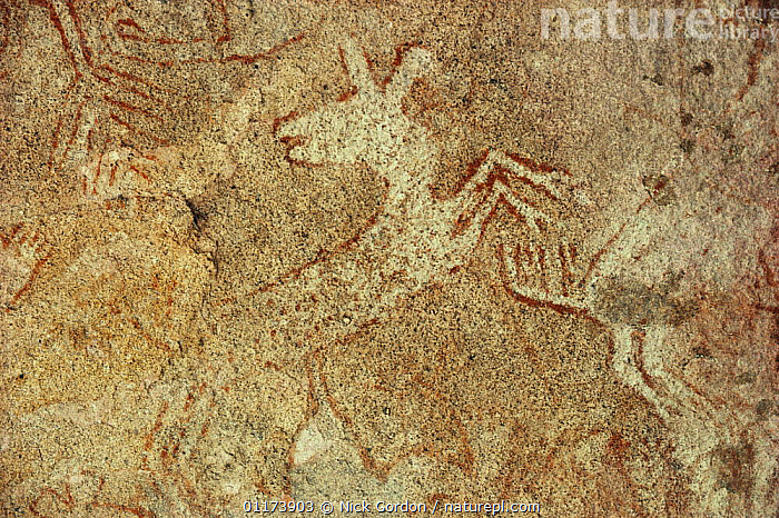 Stock photo of Ancient Piaroa Indian cave paintings at funeral site ...