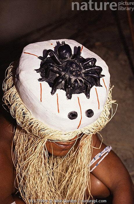 Stock photo of A Piaroa Indian medecine man / shaman with tarantual ...