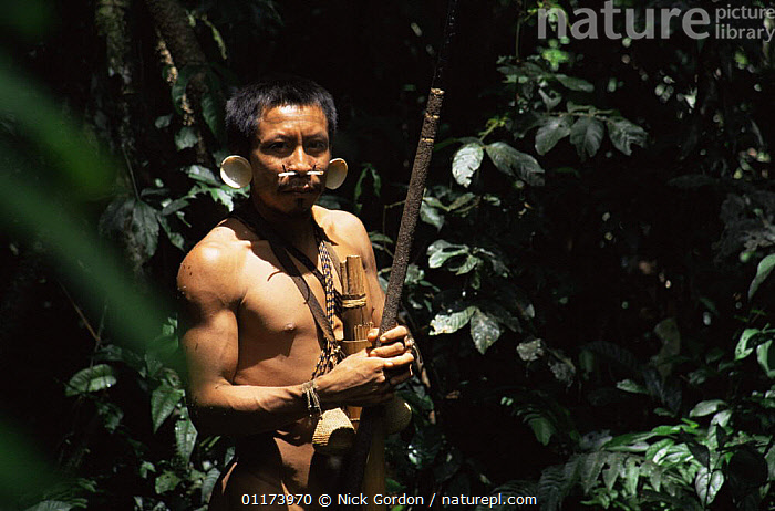 Stock photo of Matis Indian man hunting in the rainforest with blowpipe ...
